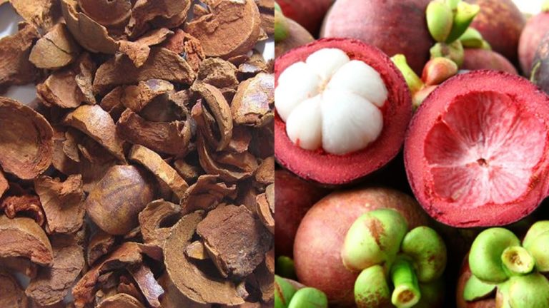 Benefits of Dry Mangosteen Peel | foodfeatures.net